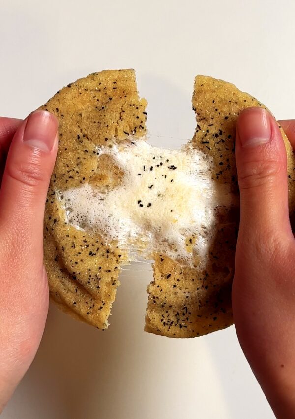 Triple Toasted Vanilla Ice Cream - Day With Mei